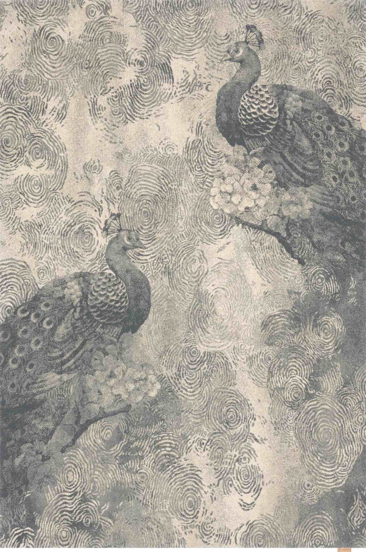 Regius PAVIO popiel - Agnella