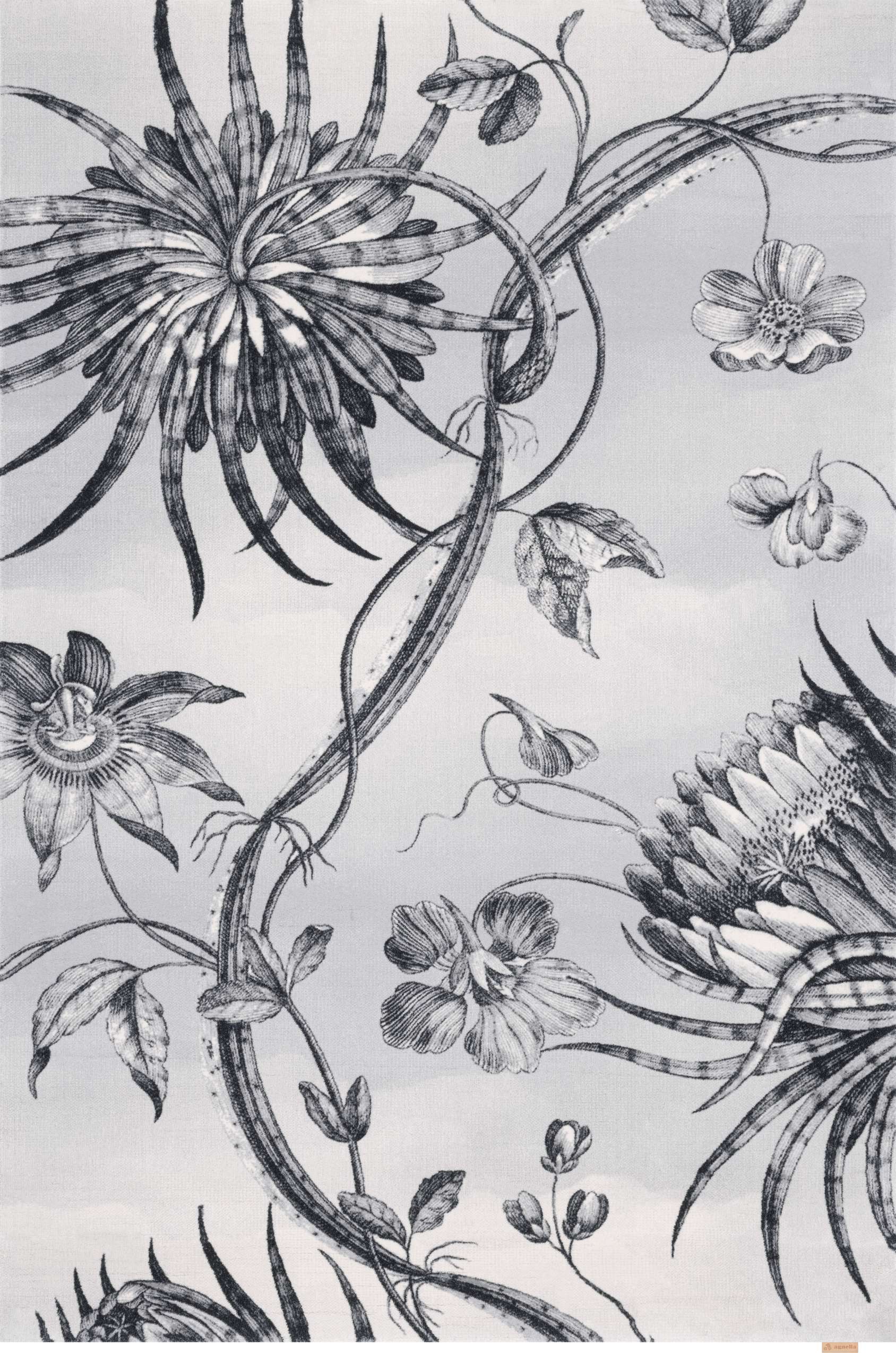 TALWIN Grau - Agnella